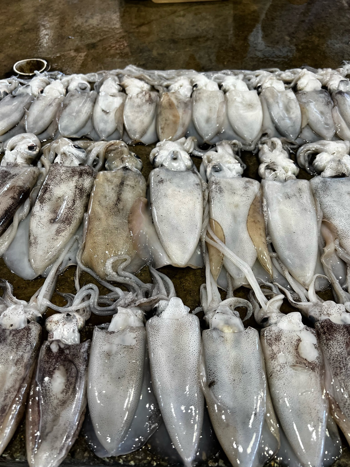 Koke Fish Market leaving from Port Moresby – Laikim PNG