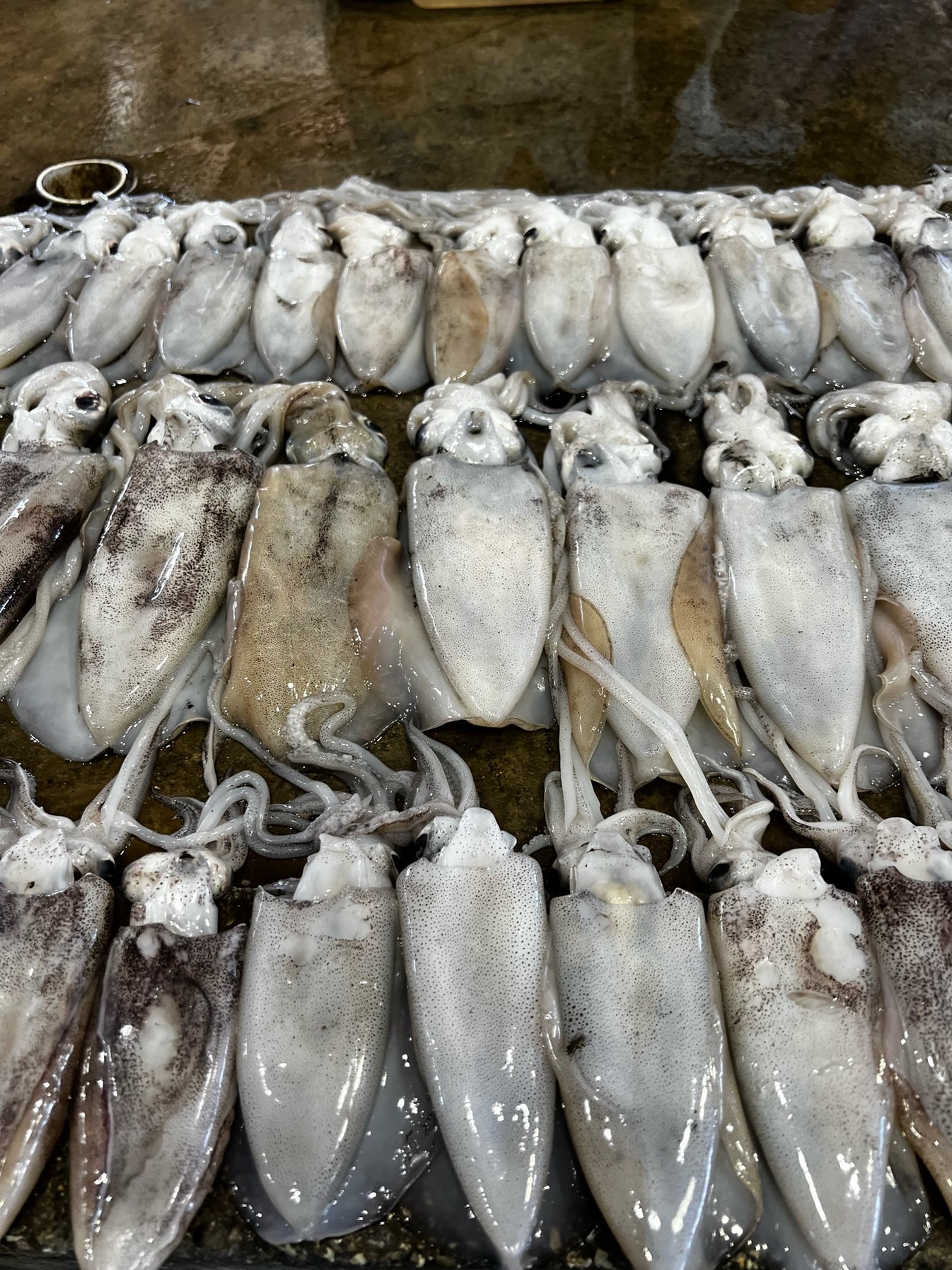 Koke Fish Market leaving from Port Moresby – Laikim PNG